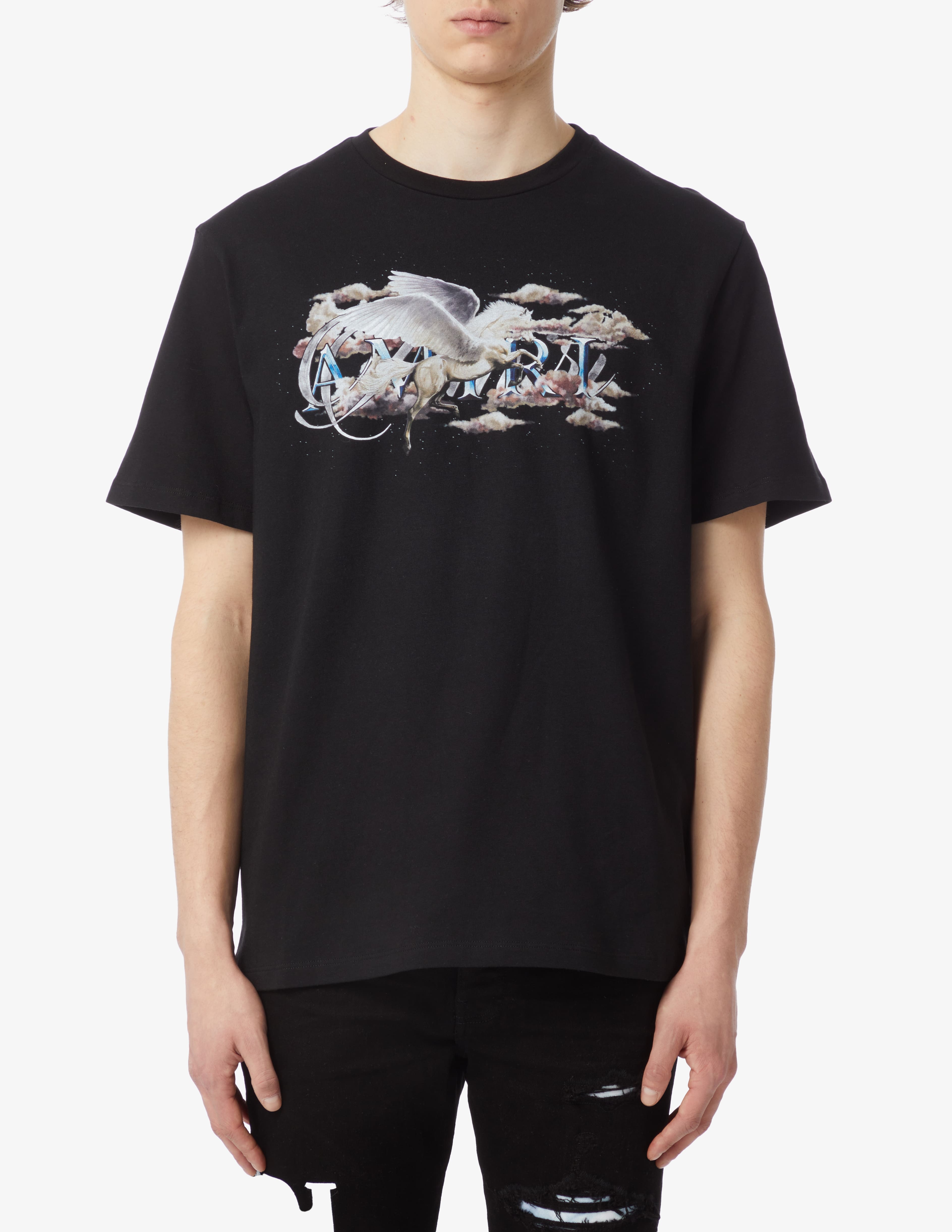 Acquista Amiri Maglietta pegasus script con logo su Rinascente