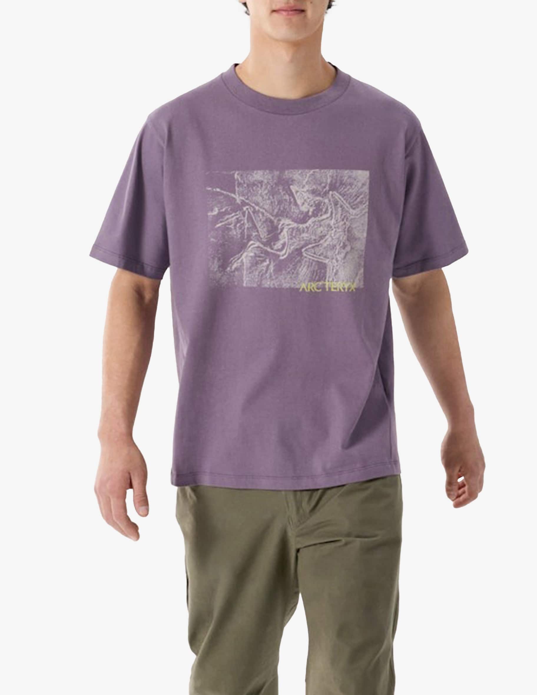 Shop Arc'teryx Kragg cotton lithograph t-shirt on Rinascente