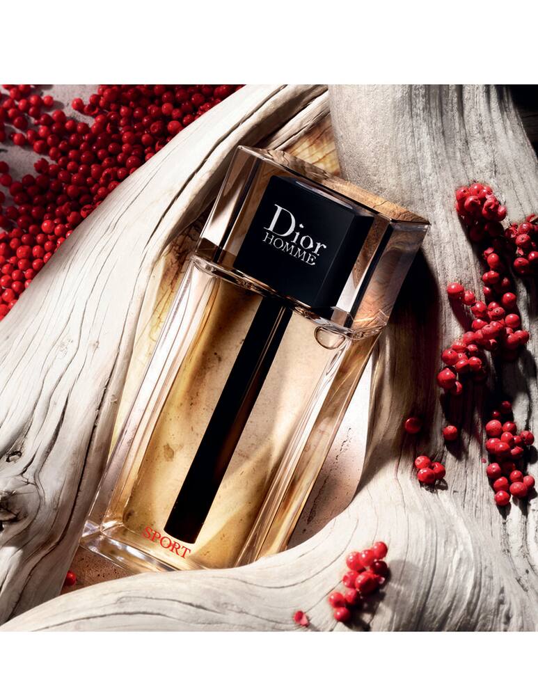 Shop DIOR Dior Homme Sport Eau de Toilette on Rinascente