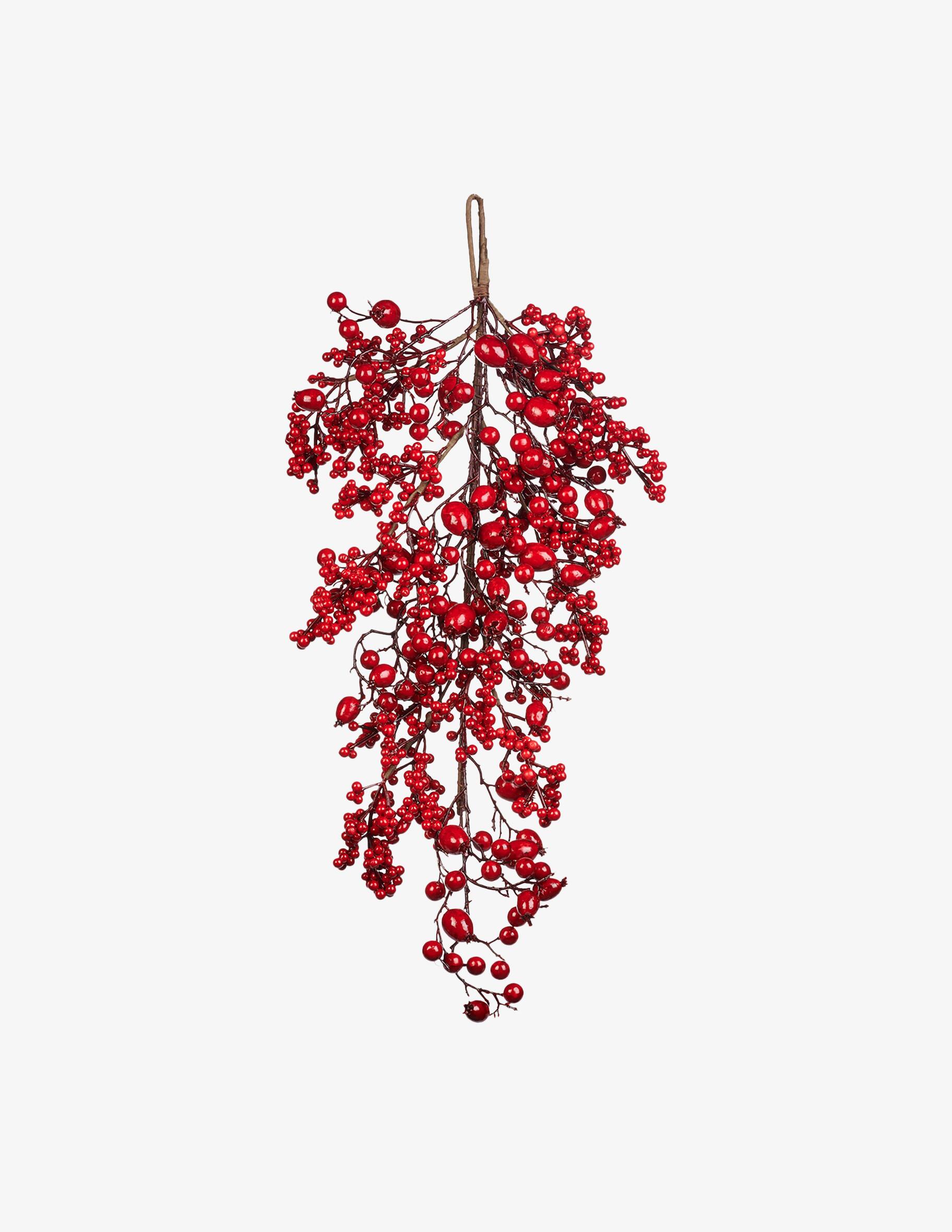 Acquista Goodwill Corona Bacche Rosse 70Cm su Rinascente