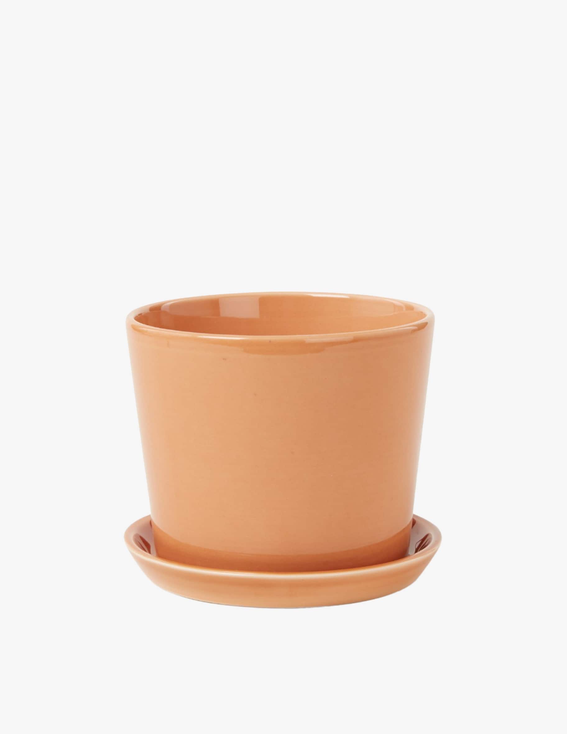 Shop Hay Botanical Family M - Brown on Rinascente