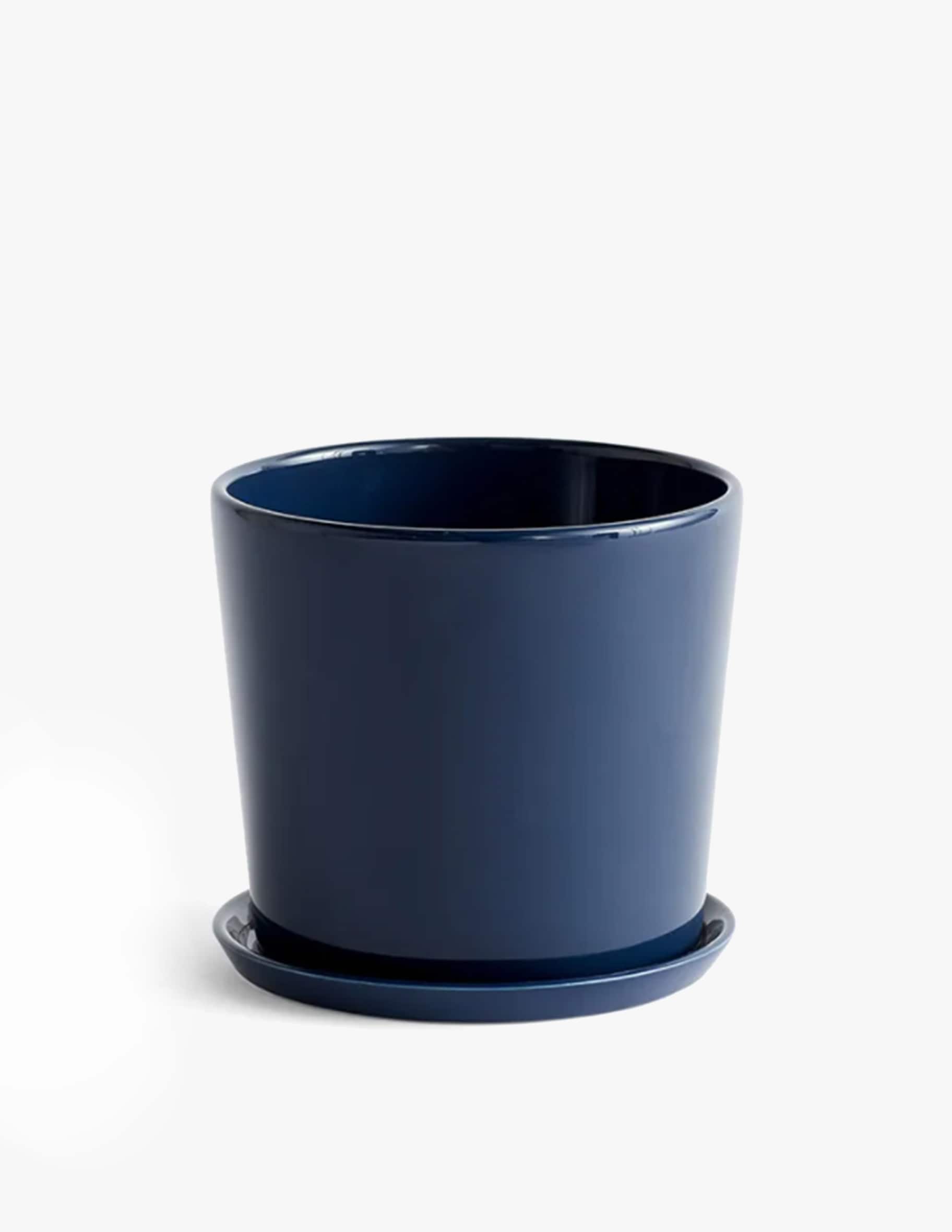 Shop Hay Botanical Family Set L - Blue on Rinascente