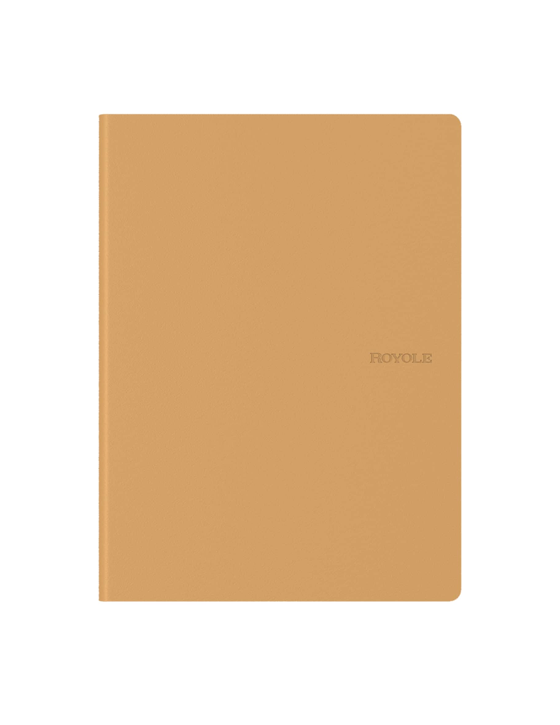 Shop Smartech Royole Rowrite 2 - Brown on Rinascente