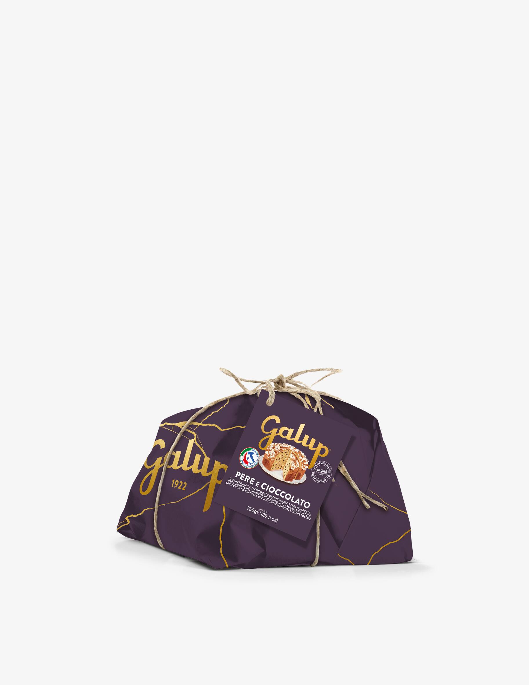 Shop Galup Gran Galup Panettone 750g on Rinascente