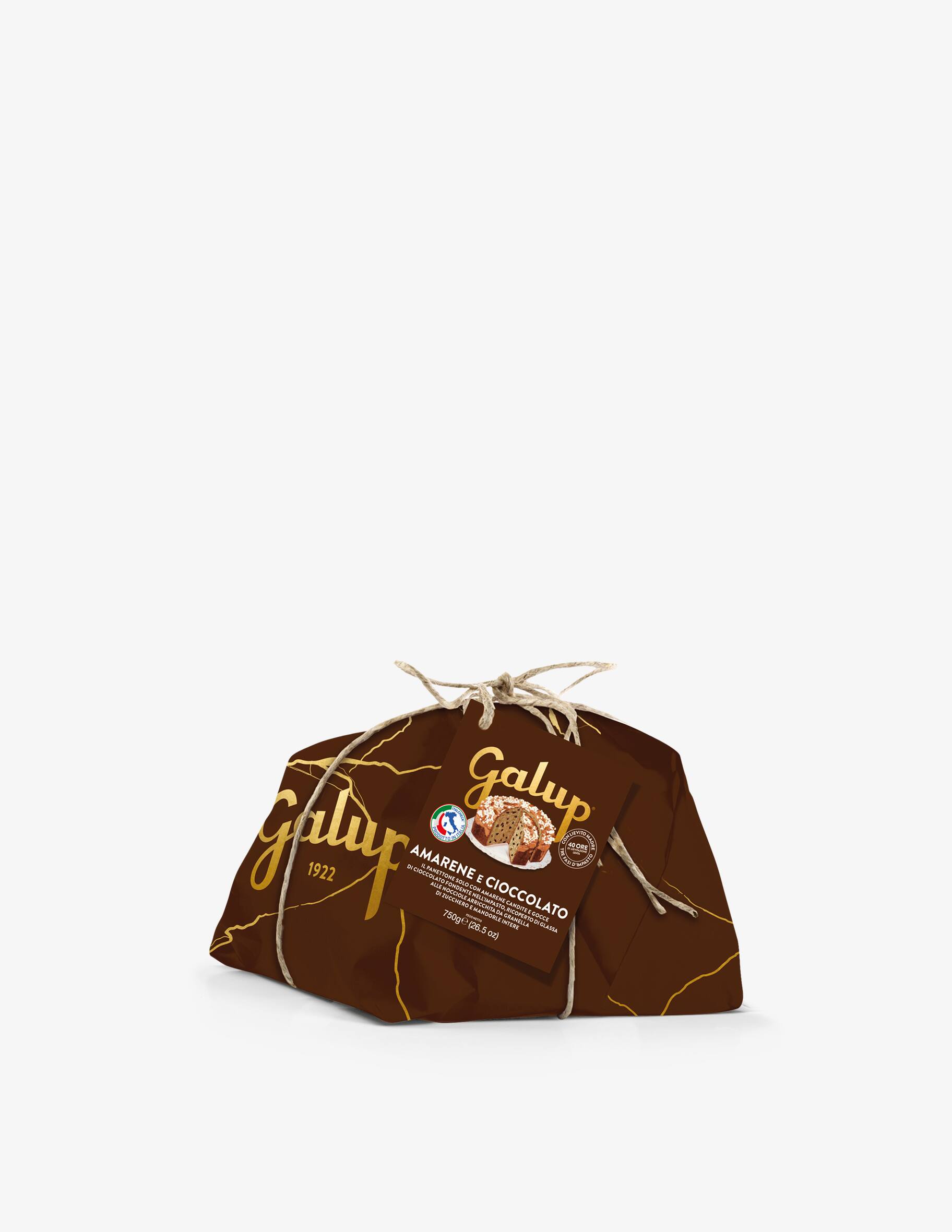 Shop Galup Gran Galup Black cherries and Chocolate Panettone 750g on ...