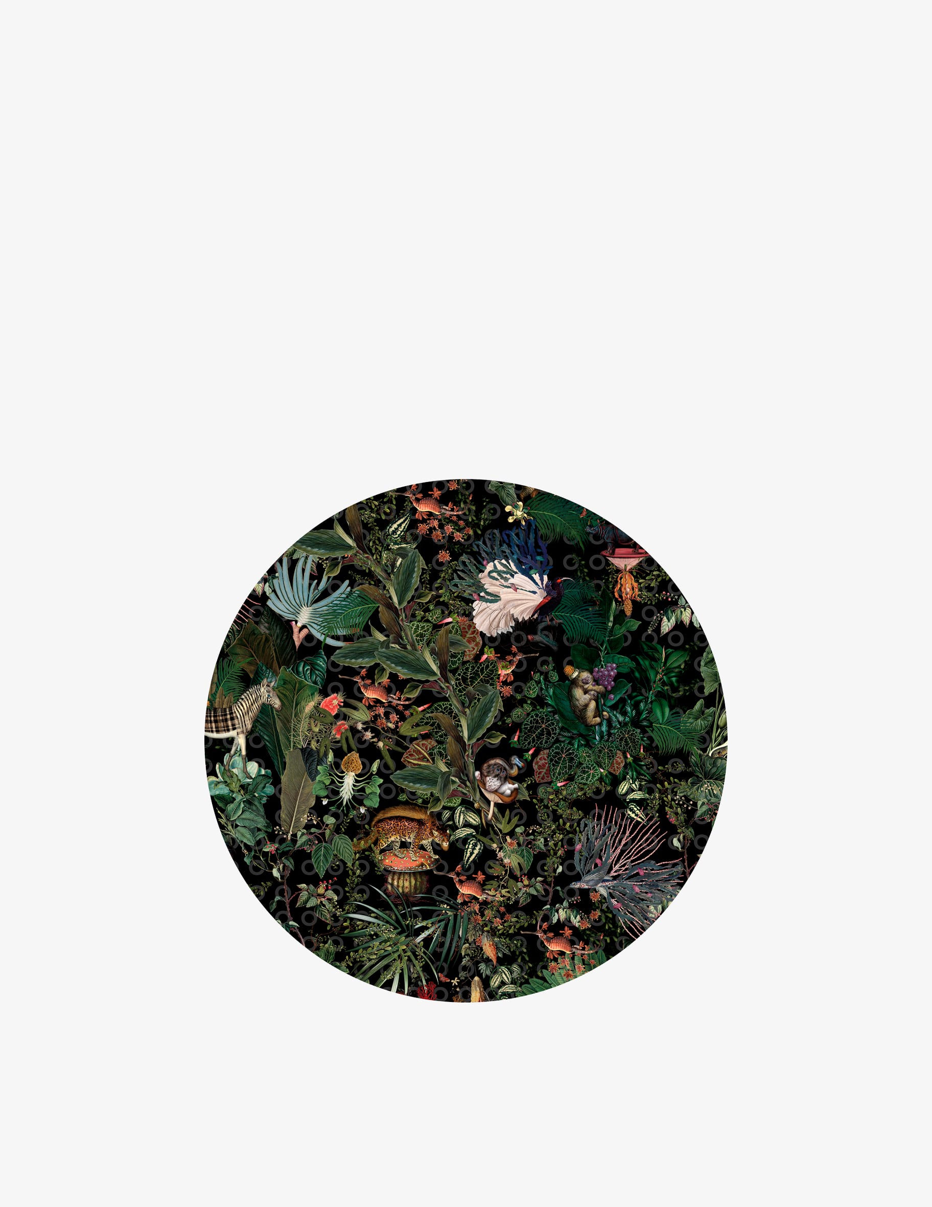 Shop Moooi Carpet Menagerie of Extinct Animals Raven on Rinascente