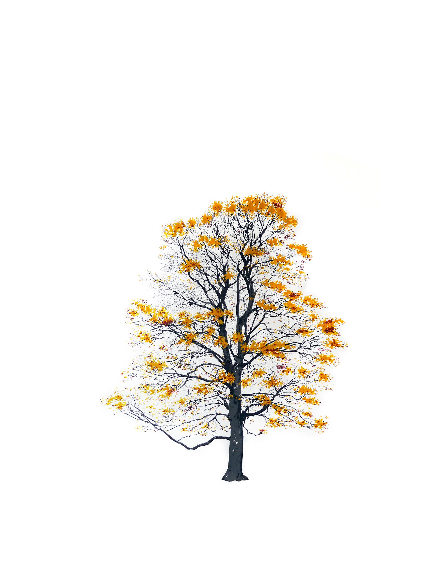 Shop Magis Tree Serigraphy Autumn - Multi on Rinascente